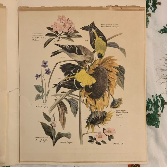 Arthur Singer | Wall Decor | 2 Arthur Singer Bird Prints | Poshmark